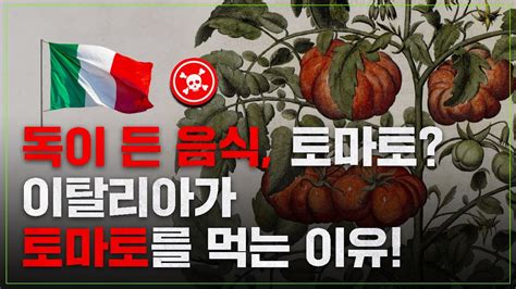 토마토는 독이 든 과일 이탈리아는 왜 토마토로 유명할까 토마토의 역사를 알아보자 Youtube