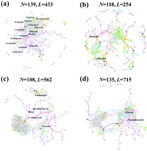 the intra domain network analysis of the fungal community a the