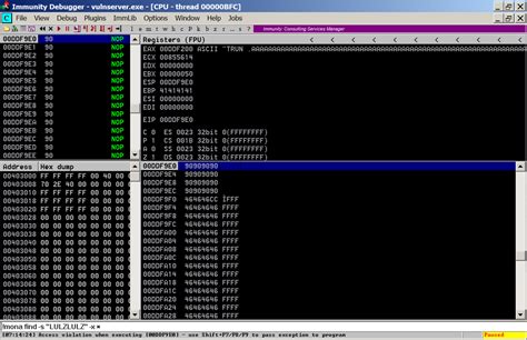 Proj 9 Exploiting Vulnerable Server On Windows 25 Pts