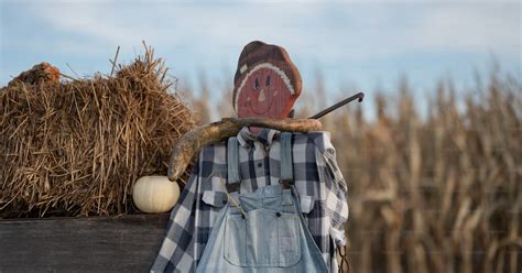 옥수수 밭 앞에서 막대기를 들고 있는 허수아비 사진 Unsplash의 허수아비 이미지
