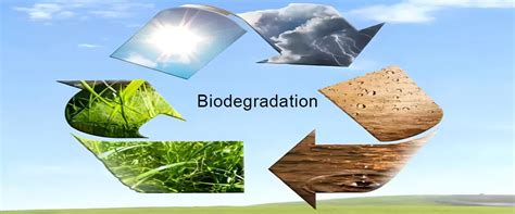 What Is Polyhydroxyalkanoate Unilong Group