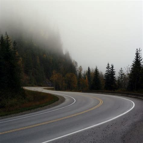 Focus On Composition The S Curve