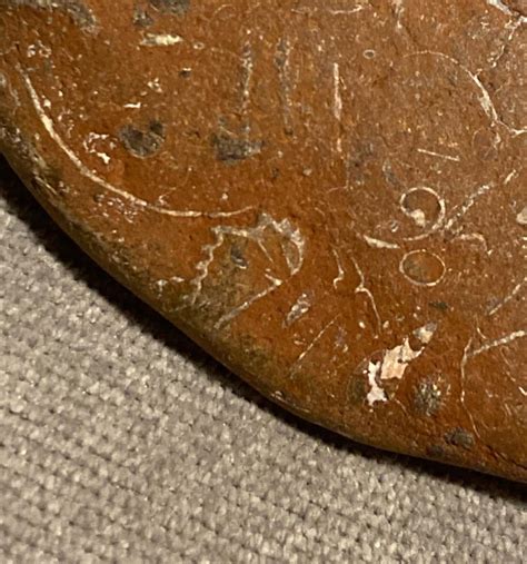 Fossil Identification Needed R Fossilid