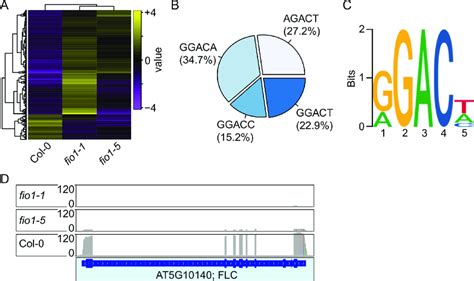 direct rna sequencing analysis a cluster analysis of differentially download scientific