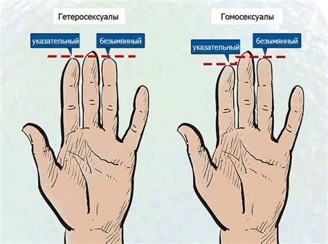 Длина этих двух пальцев на руке говорит о вашей сексуальной ориентации ...