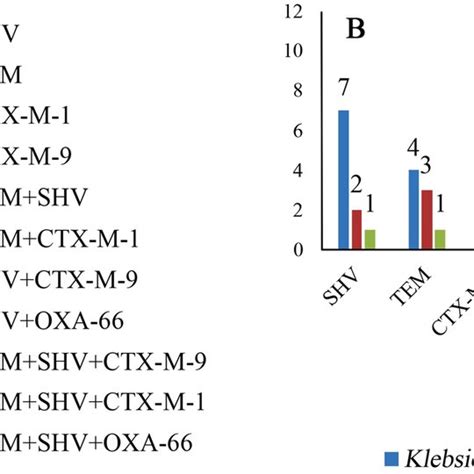 Distribution Of Esbl Related Genes Among The Epe Isolates A