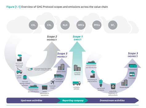 Scope 3 Emissions Your Carbon Steps