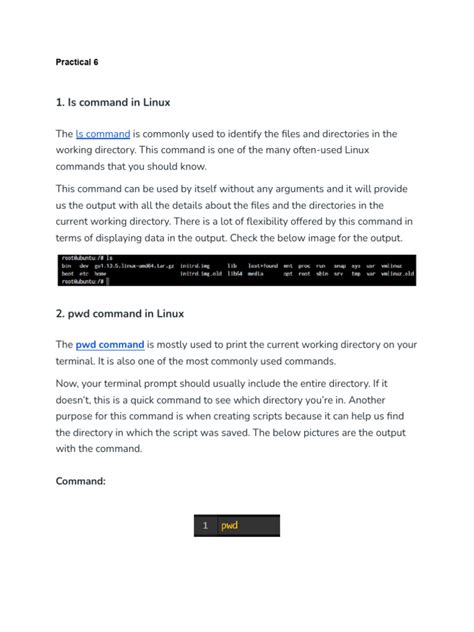 practical 6 8 pdf computer file directory computing