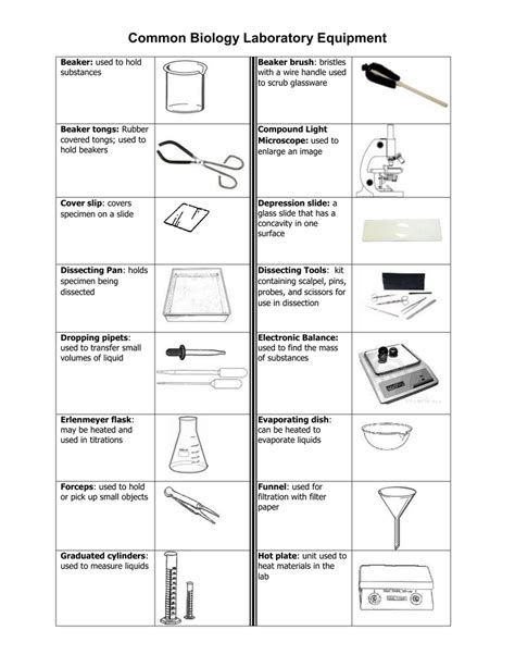 Basic Laboratory Equipment List At Susan Pfeffer Blog