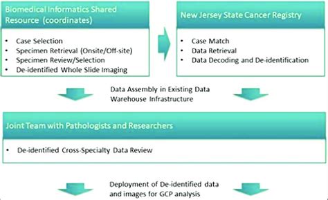 workflow for assembling linked image data cohorts download scientific