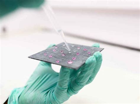 Disciplines School Of Chemical Engineering University Of Adelaide