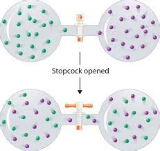 Physical Chemistry What Is The Entropy Of Mixing Of Two Ideal Gases Starting Out With