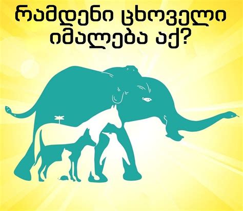 თუ 3 ჩასუქებულ პანდას იპოვით თქვენი დაკვირვებულობა ყველა რეკორდს ხსნის