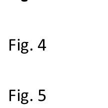 The Structure Diagram Of A Typical Track Download Scientific Diagram