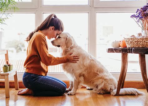 Progress Residential Rei Ink
