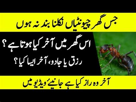 Jis Guhr Chyuntya Nikul Na Bund Naho To Waha Kya Hota Hea Wazifa