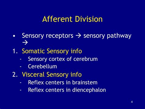 PPT Chapter Neural Integration I Sensory Pathways And The Somatic Nervous System