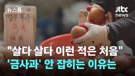 과일 장사하면서 처음상인들조차 놀란 금사과 왜 Jtbc 뉴스룸 Youtube