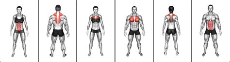 Reverse Hyper On Flat Bench Workout Animation Gym Animation Videos