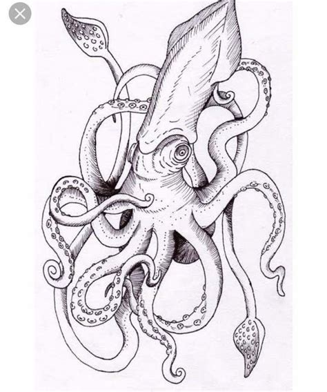 Squid Drawing Tattoo
