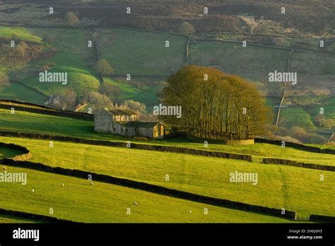 Beautiful Scenic Hilly Farmland Sunlit Hill And Hillsides Group Of