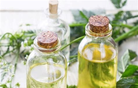 Efficient Pdf Text Extraction In Java Ocr And Parsing Techniques By Johni Douglas Marangon