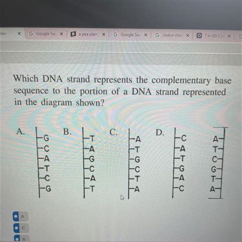 Base Sequence Of Dna