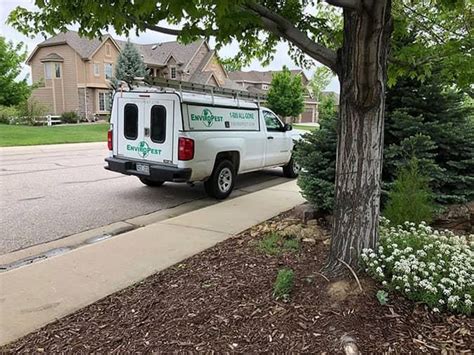 Effective Pest Control Services In Boulder Co