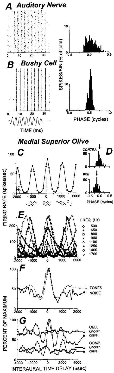 Physiological Features Of The Jeffress Model Itds Represent A Lead Of Download Scientific