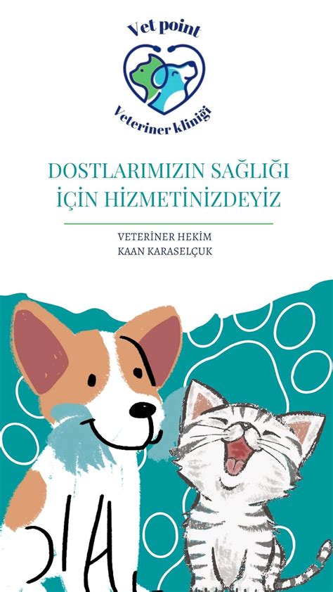 Serhat Can Yetik Posted On Linkedin