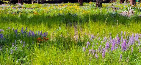 Aricka Webb Aricka Webb Added A New Photo — At Suncadia