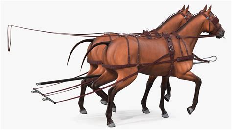 한 쌍의 유방 칼라 하네스 워킹 포즈 3d 모델 149 3ds Blend C4d Fbx Max Ma Lxo Obj Free3d