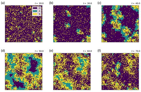 Snapshots Of A 100 × 100 Sublattice Of A 500 × 500 Lattice In A Kmc
