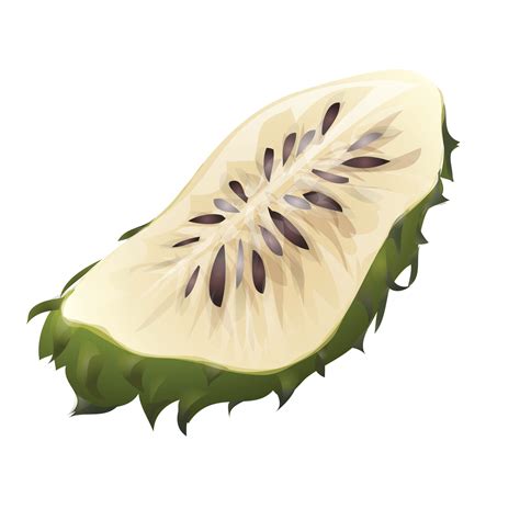 Vector De Dibujos Animados De Icono De Guanábana Vegetariana Anona