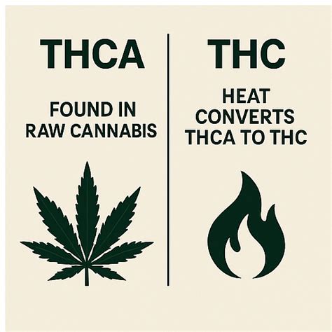 Thca Vs Thc Pack Trapper A Deep Dive