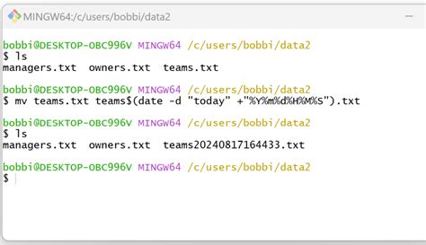 Bash How To Add Timestamp To A Filename Collecting Wisdom
