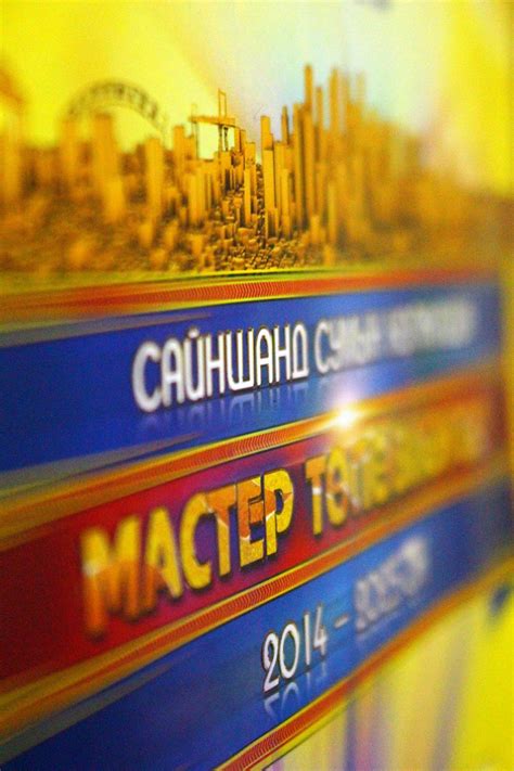 Сайншанд сумын хөгжлийн мастер төлөвлөгөө On Behance