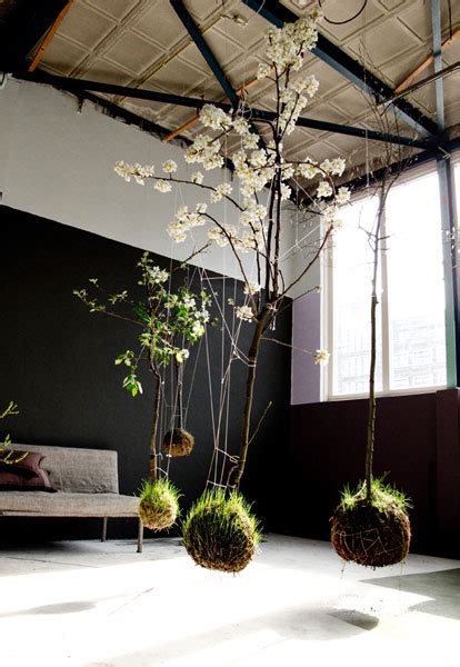 String Gardens Cup Of Jo