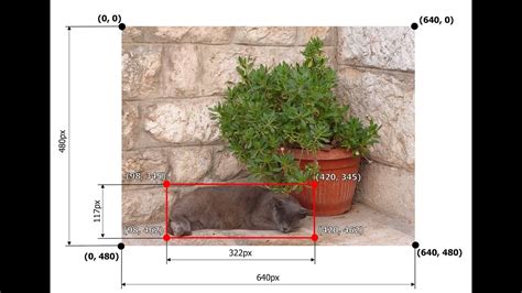 Expired Cvat Convert Xml File To Read Bounding Box Objects Youtube
