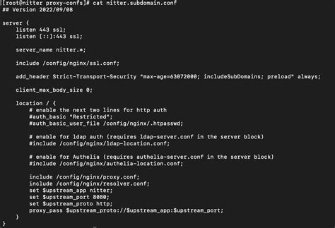 BUG HSTS Loaded Over Issue Linuxserver Docker Swag GitHub