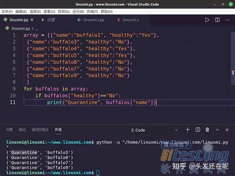 带你学习Python中优雅的for循环 知乎