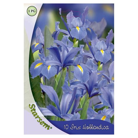 Bulbi Iris Pitic Starsem Albastru 10 Buc