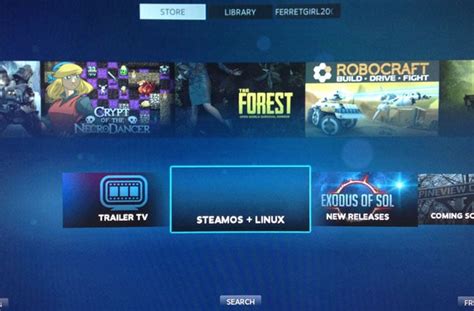 The Agony And Ecstasy Of SteamOS WHERE ARE MY GAMES The Register