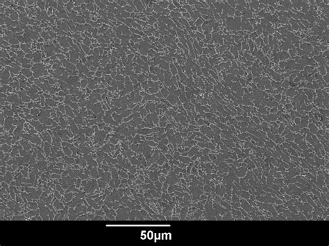 The Initial Microstructure Of A Titanium Alloy Grade 5 Download