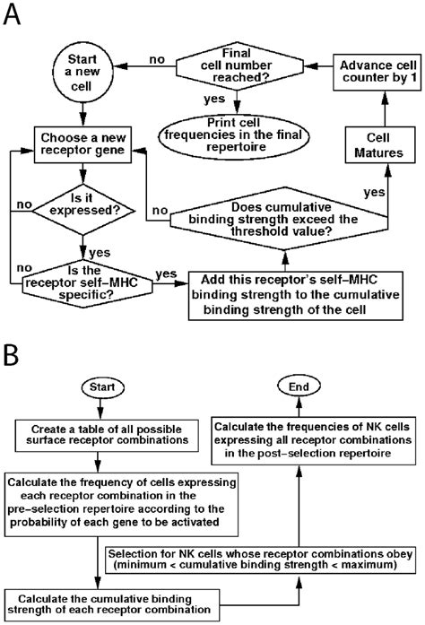 Description Of The Models Flow Chart Of The Sequential Model Download Scientific Diagram