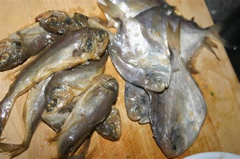 황석어와 자랭이병어병어새끼 라고 합니다 소금에 절여져서 물에 담궈서 우려 냄니다 잘 잘 하게 썰어 줍니다 2 가지를 섞었습니다 대파 와 마늘 홍