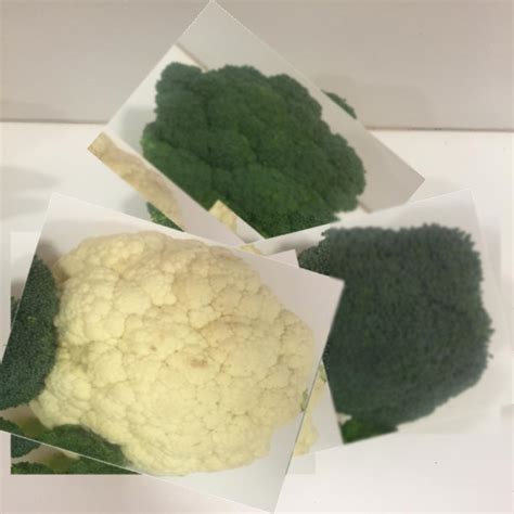 Bangkit Capstone Bangkit Capstone Qwjzy Roboflow Universe