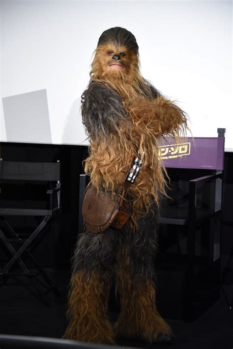 チューバッカ スター・ウォーズ大好き及川光博、チューバッカ初来日イベントで大興奮 [画像ギャラリー 20 26] 音楽ナタリー