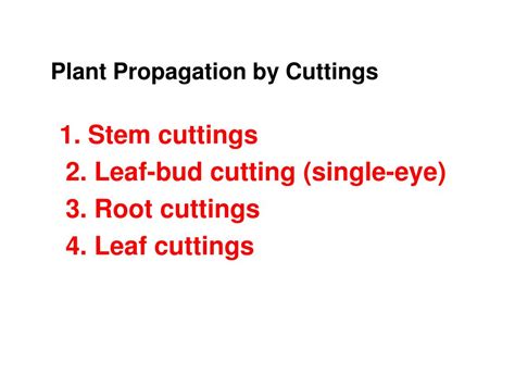 Ppt Plant Propagation By Cuttings Powerpoint Presentation Free Download Id 6798501