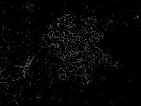 エッジ検出 OpenCV Python を利用したエッジ検出